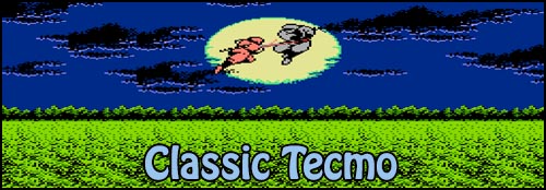 Classic Tecmo | KOEI Tecmo Warriors